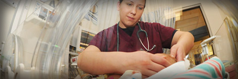 Germany: German hospitals, An overview of the hospital system in ...